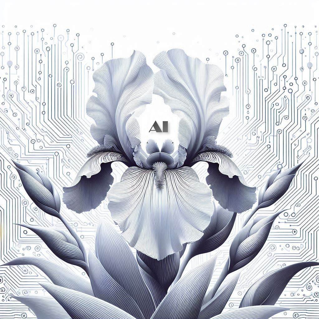 Professional Portfolio